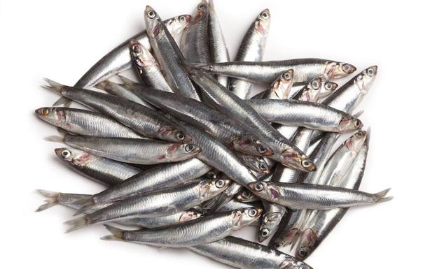 10 recetas con anchoas, fáciles y sabrosas | El Correo