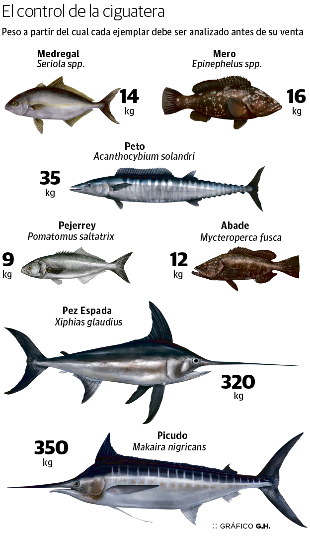 Ciguatera, otra amenaza llegada del mar | El Correo