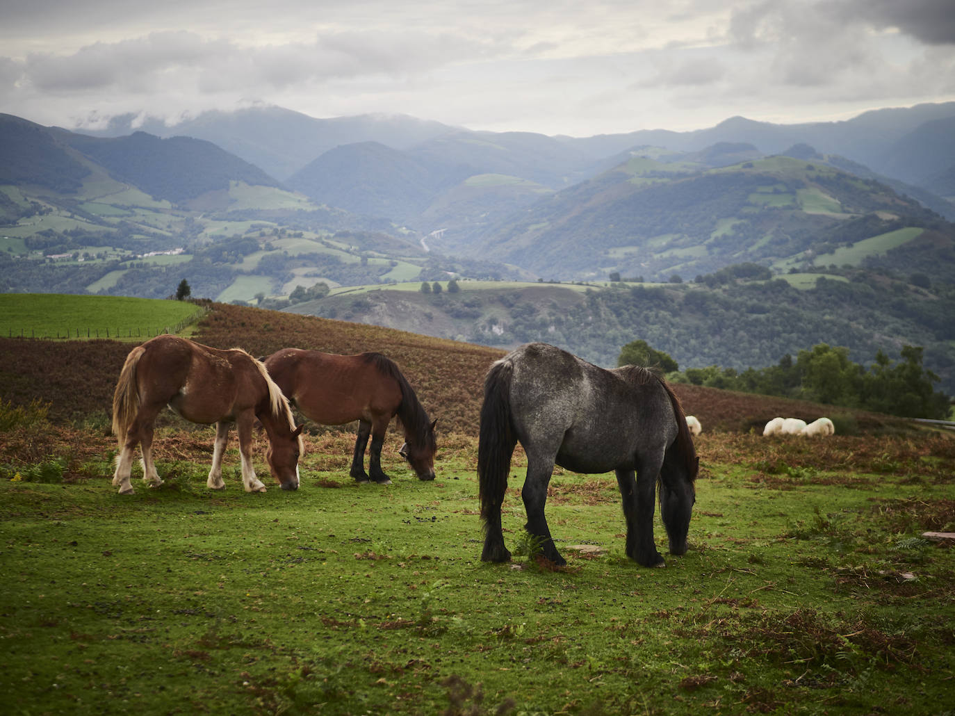 Fotos: Un viaje mágico al valle del Baztán en otoño | El Correo